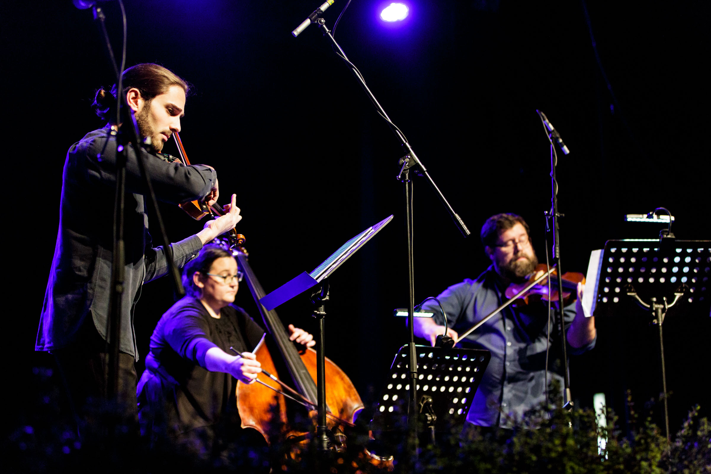 THE KOPPIES OF THE KLEIN KAROO VIBRATED WITH THE STUNNING SOUNDS OF ...