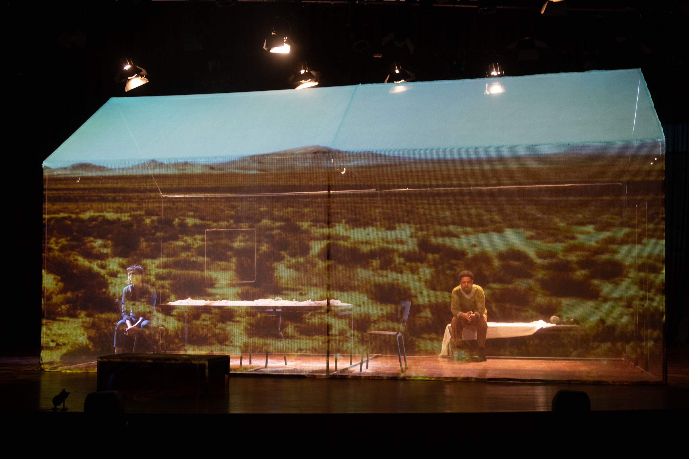 Art – De Beer Necessities