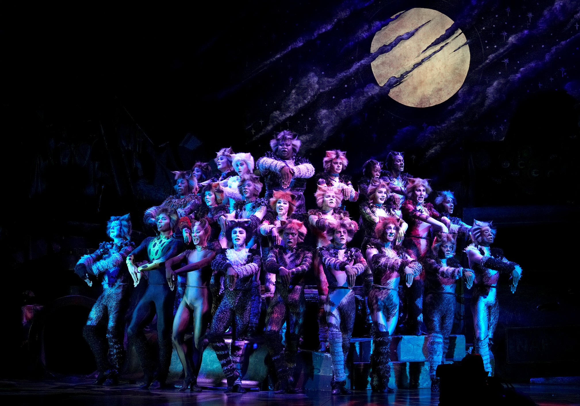 INDIVIDUALLY AND AS AN ENSEMBLE THE CATS PERFORMERS PURRED PERFECTLY ...