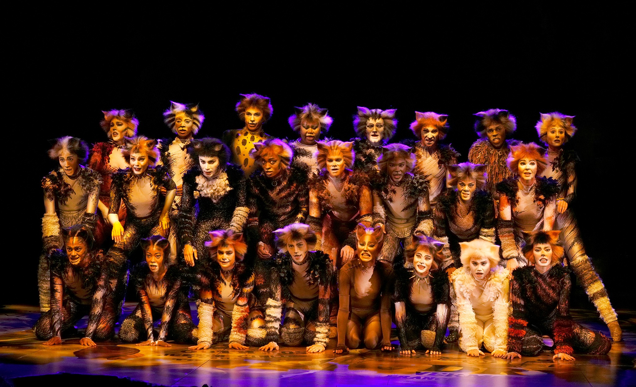 INDIVIDUALLY AND AS AN ENSEMBLE THE CATS PERFORMERS PURRED PERFECTLY ...